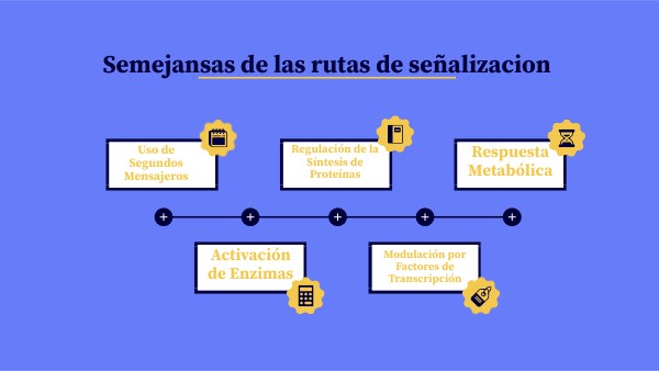 rutas de señalizacion | Genially