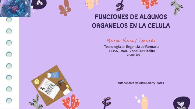Funciones de algunos Organelulos en las Celulas | Genially