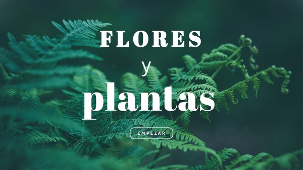PRESENTACIÓN de flores y plantas | Genially