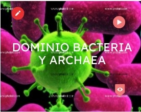 Dominio BACTERIA Y DOMINIO ARCHAEA