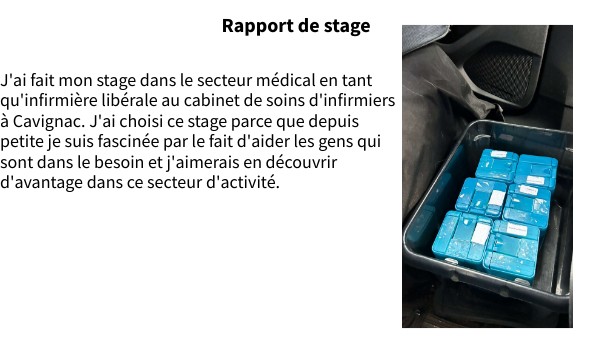 dossier de stage julia | Genially