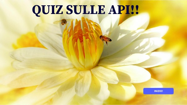 Quiz sulle api