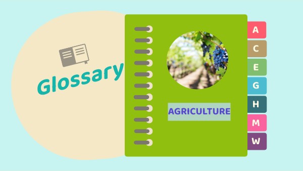 GLOSSARY | Genially