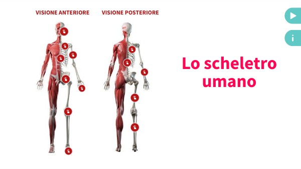 Poster interattivo SCHELETRO | Genially