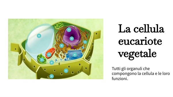 La cellula eucariote | Genially