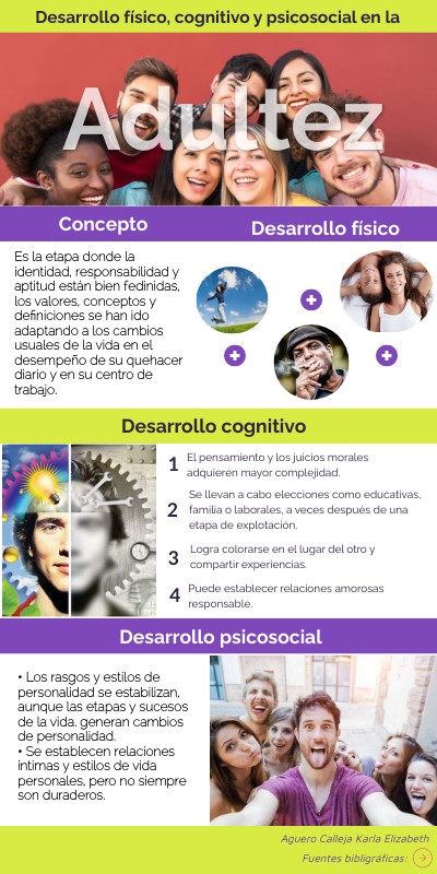 Desarrollo físico, cognitivo y psicosocial en la ADULTEZ
