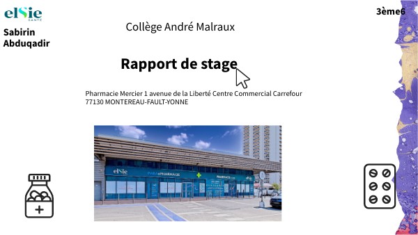 Rapport de Stage Final | Genially