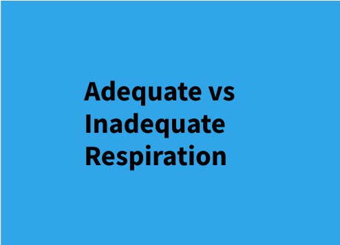 Adequate vs Inadequate Respiration