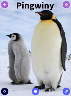 Pingwiny sa super