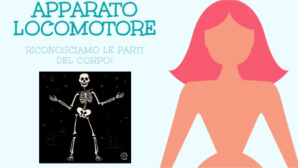 Apparato Locomotore | Genially
