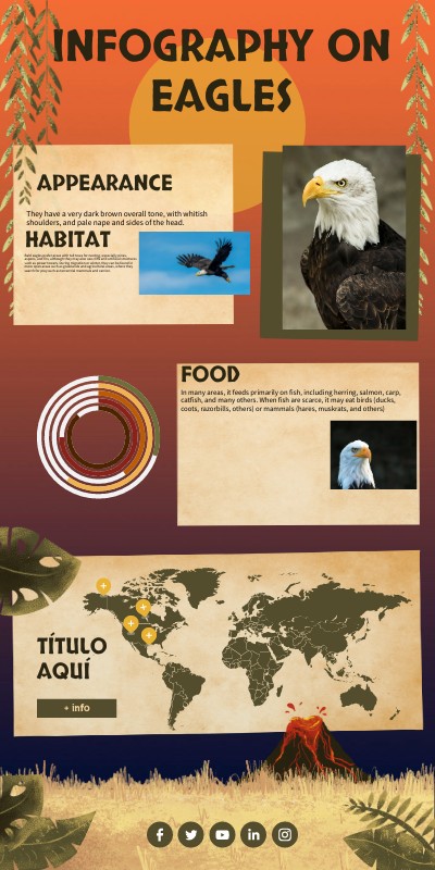 Infography on Eagles