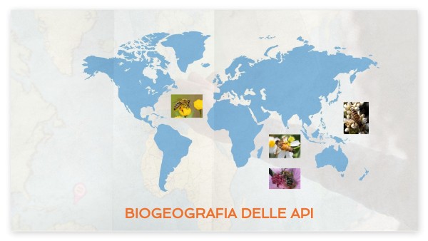 BIOGEOGRAFIA DELLE API | Genially