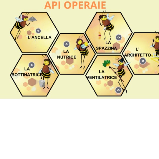 API OPERAIE | Genially