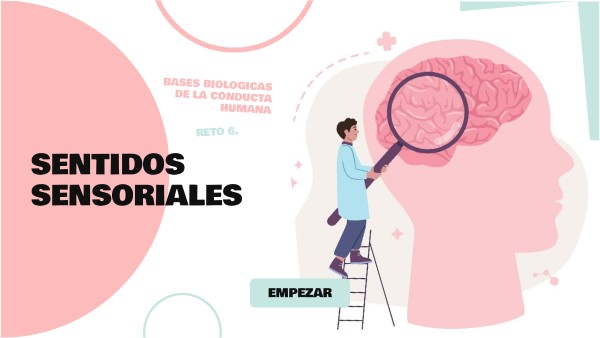 Sistemas sensoriales