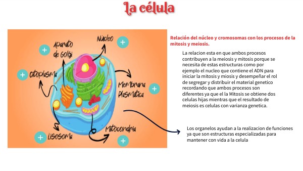 Póster interactivo célula | Genially