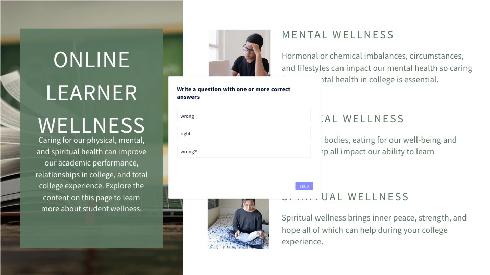 _New Snippet Online Learner Wellness