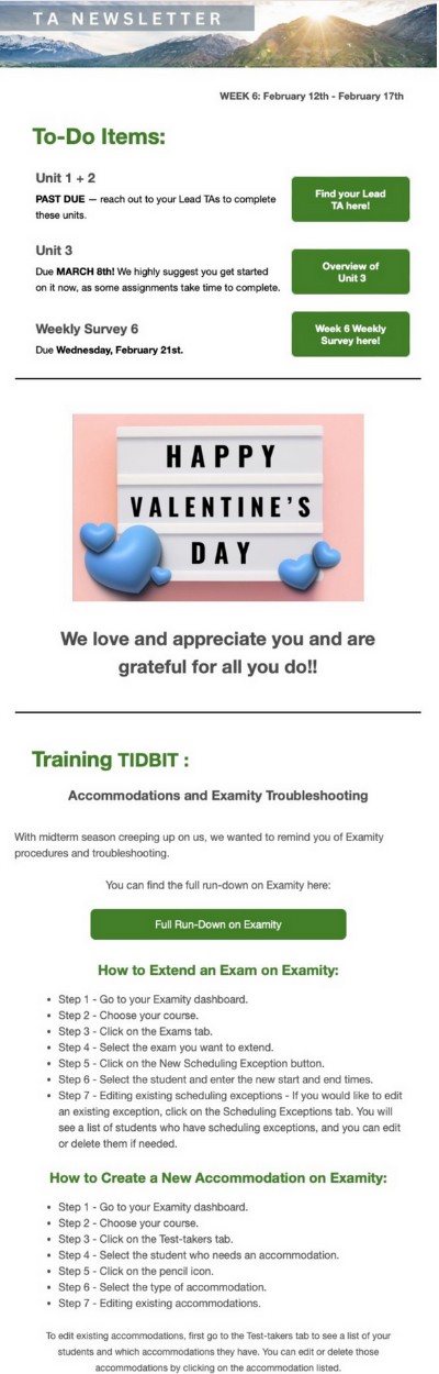 Newsletter example | Genially