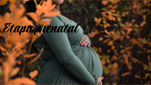 Etapa Prenatal | Genially