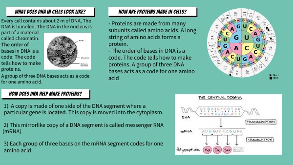 DNA mind map | Genially