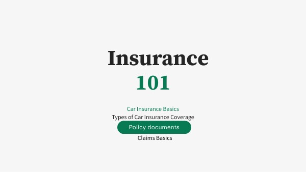 3. Insurance 101 | Policy documents | Genially