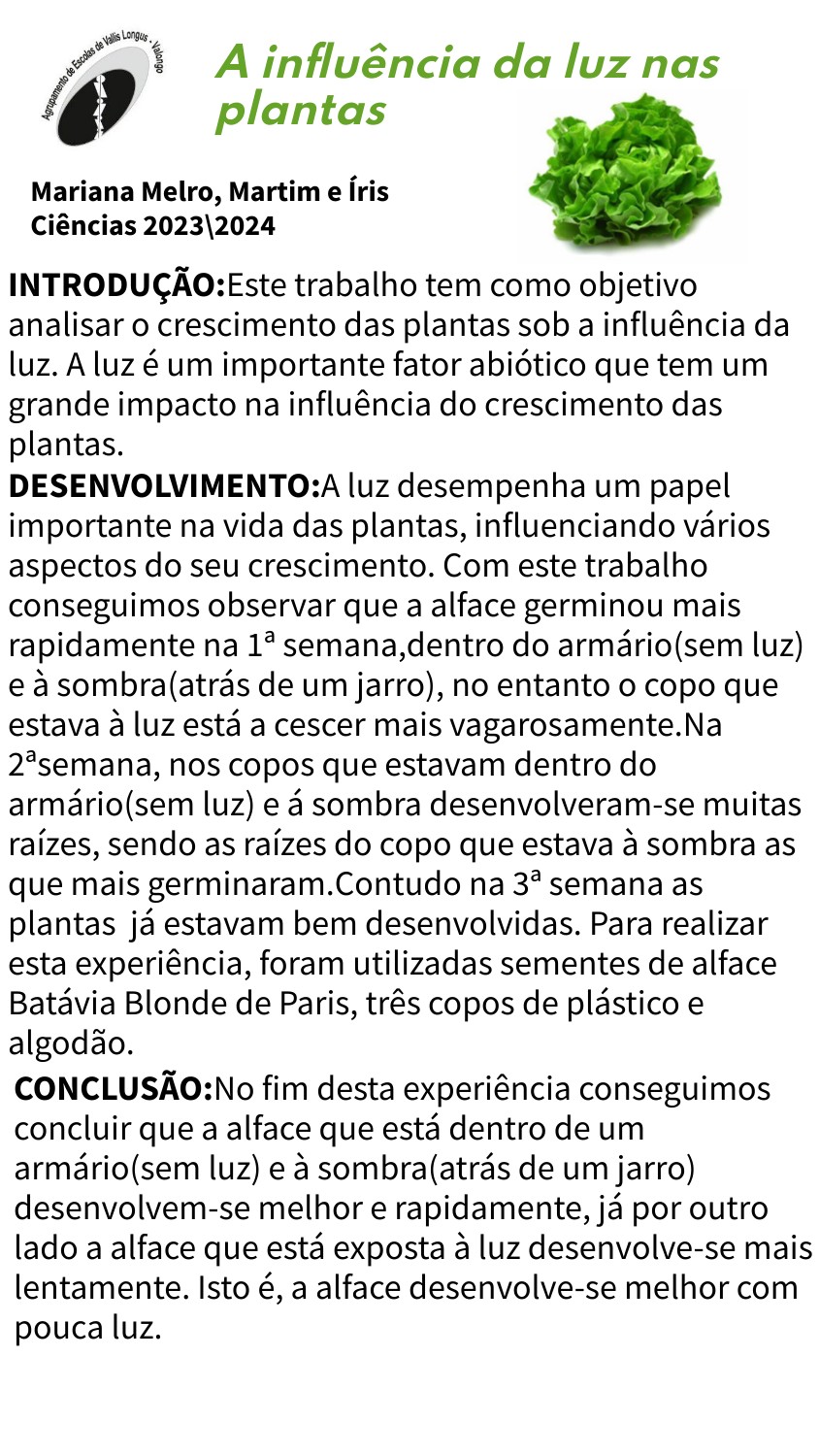 Genially sem título | Genially