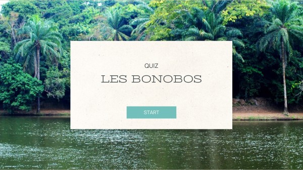 Découvrez les bonobos