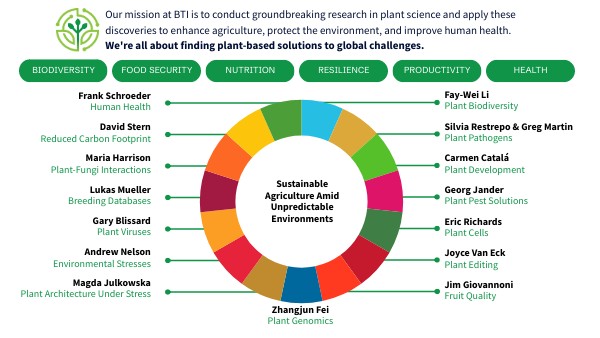 Circle sector diagram