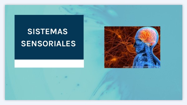 SISTEMAS SENSORIALES | Genially