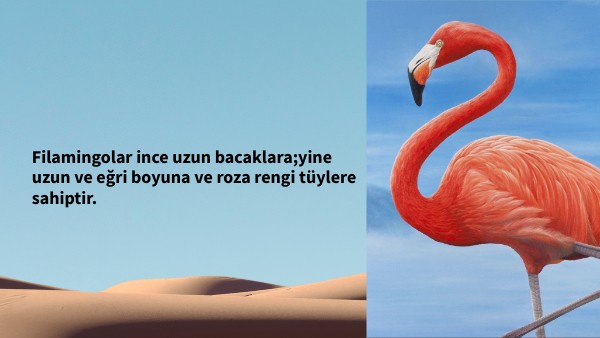 FLAMINGO | Genially