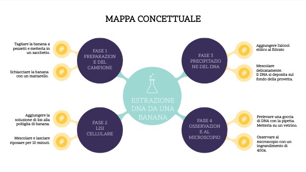 CONCEPT MAP | Genially