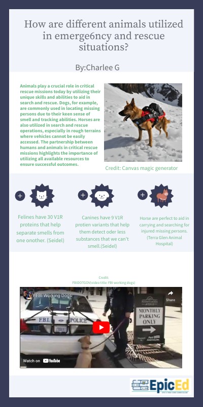 Essential Infographic