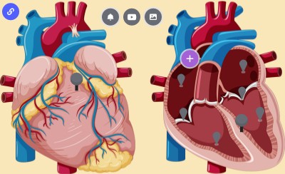 Cuore immagine interattiva | Genially