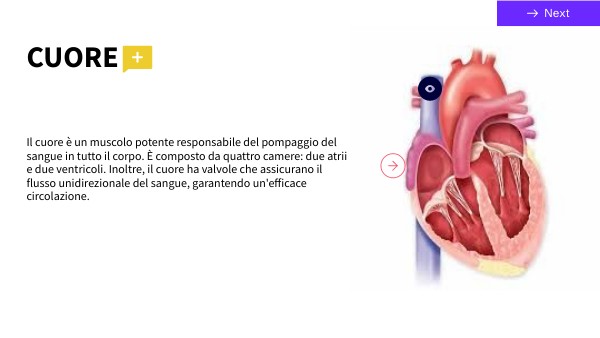 Predentazione sul cuore | Genially