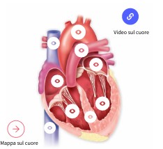 presentazione cuore | Genially