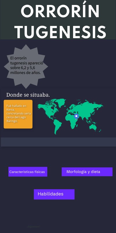 INFO DATOS