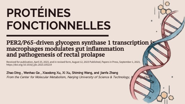 DNA VERTICAL INFO | Genially