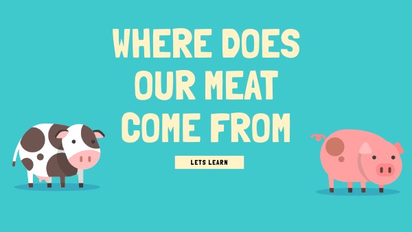 Where does our meat come from? | Genially