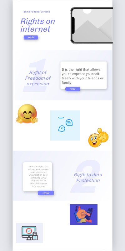 Activity 3: rights on internet | Genially