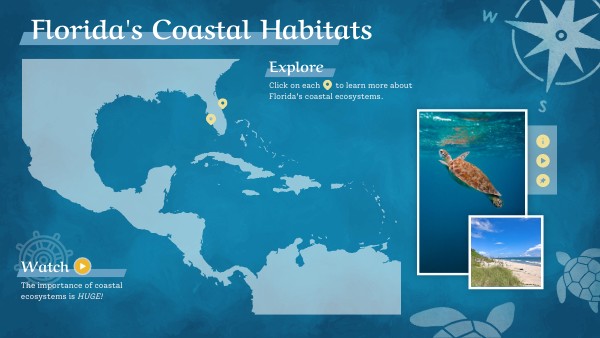 Florida's Coastal Ecosystems