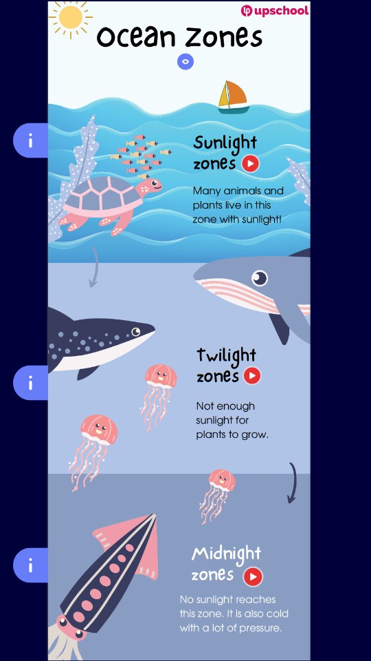 Ocean Zones | Genially