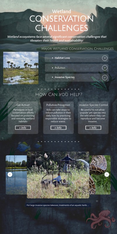 WetlAND CONSERVATION CHALLENGES