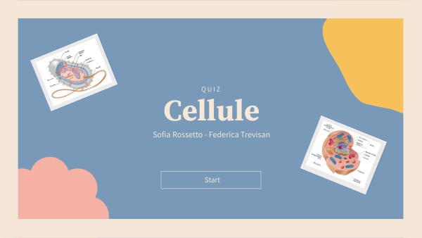 Quiz colori pastello