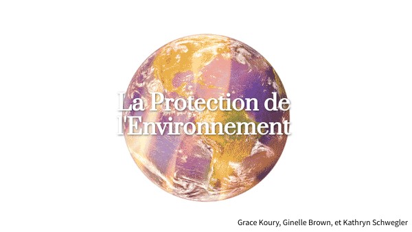 POLLUTION PRESENTATION