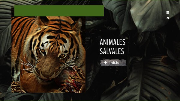 PRESENTACIÓN ANIMALES | Genially