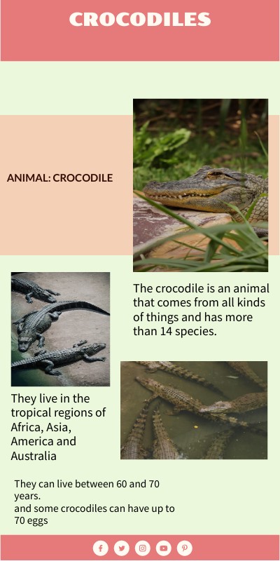 INFO VERTICAL CÉLULAS | Genially