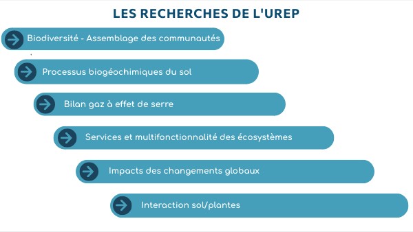 Les recherches de l'UREP