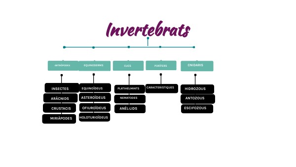 MAPA MENTAL invertebrats | Genially