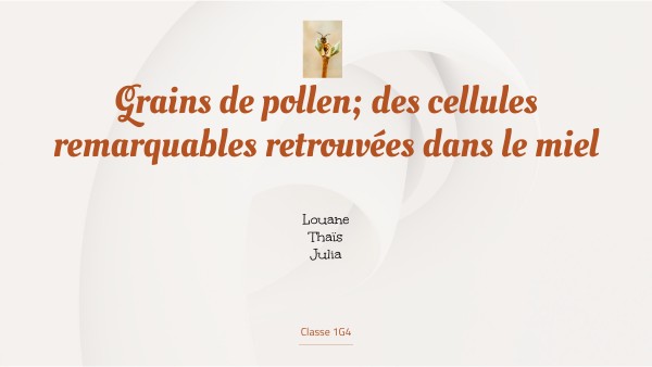 Projet enseignement scientifique: miel et pollen