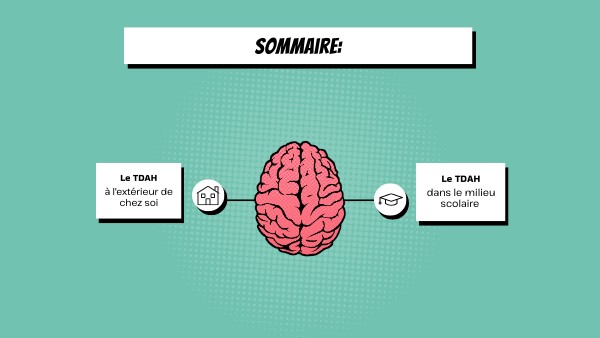 Copie - Carte mentale cerveau