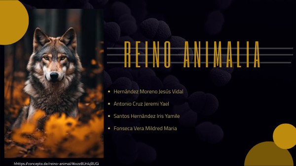 REINO ANIMAL